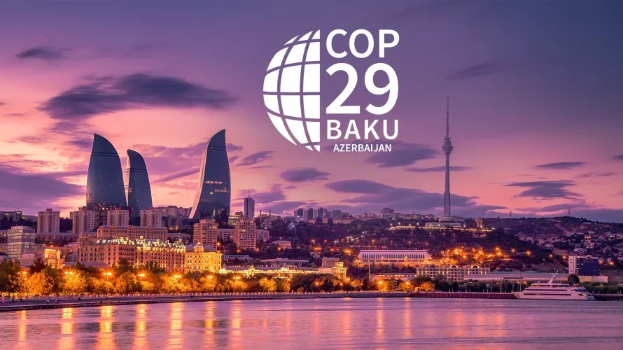 COP 29 – Campaign Exchange | Site design by @bennopt